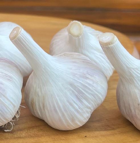 Our Garlic